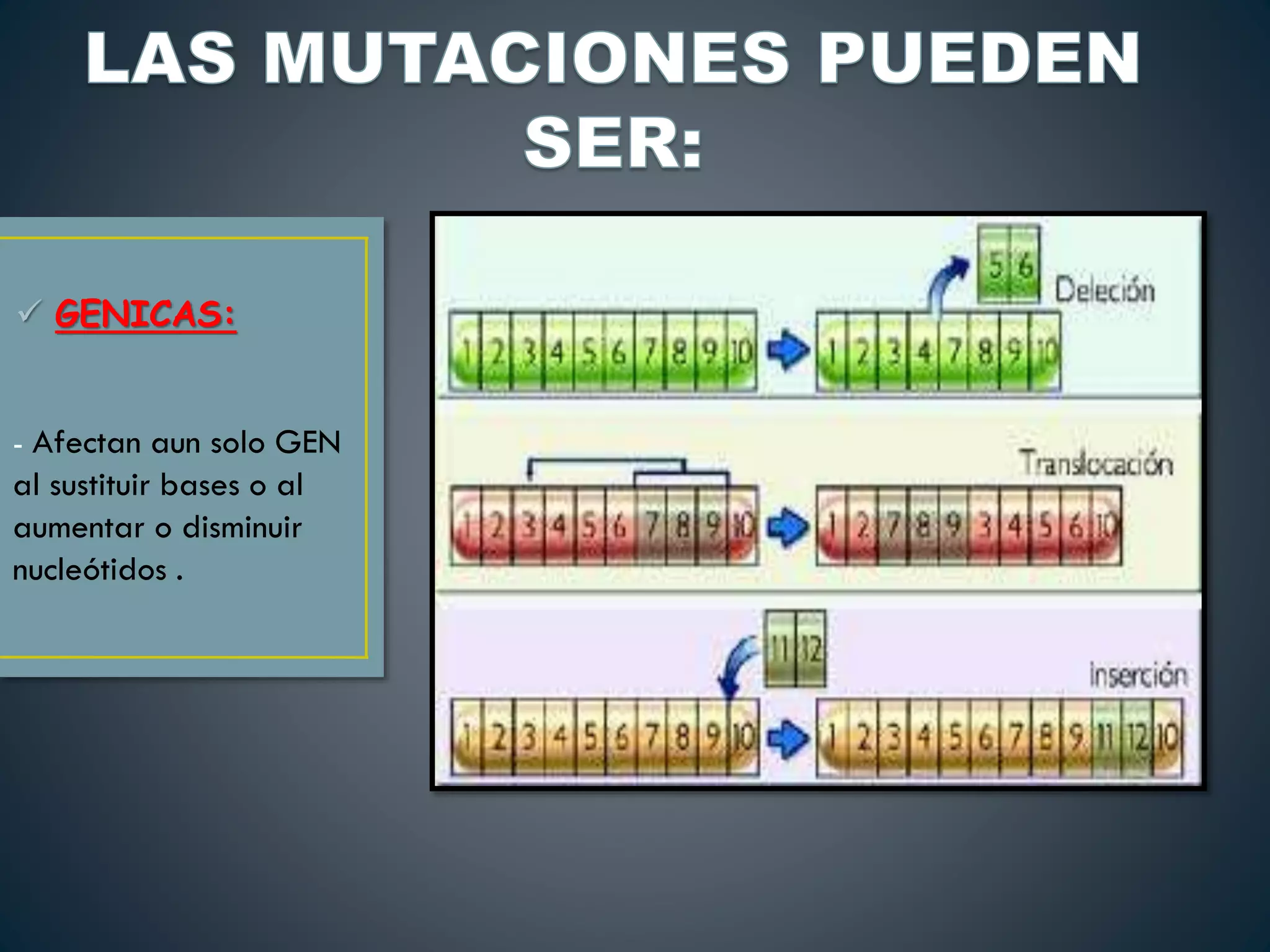 Mutacion, Sindromes y Enfermedades Geneticas en Humanos | PPTX