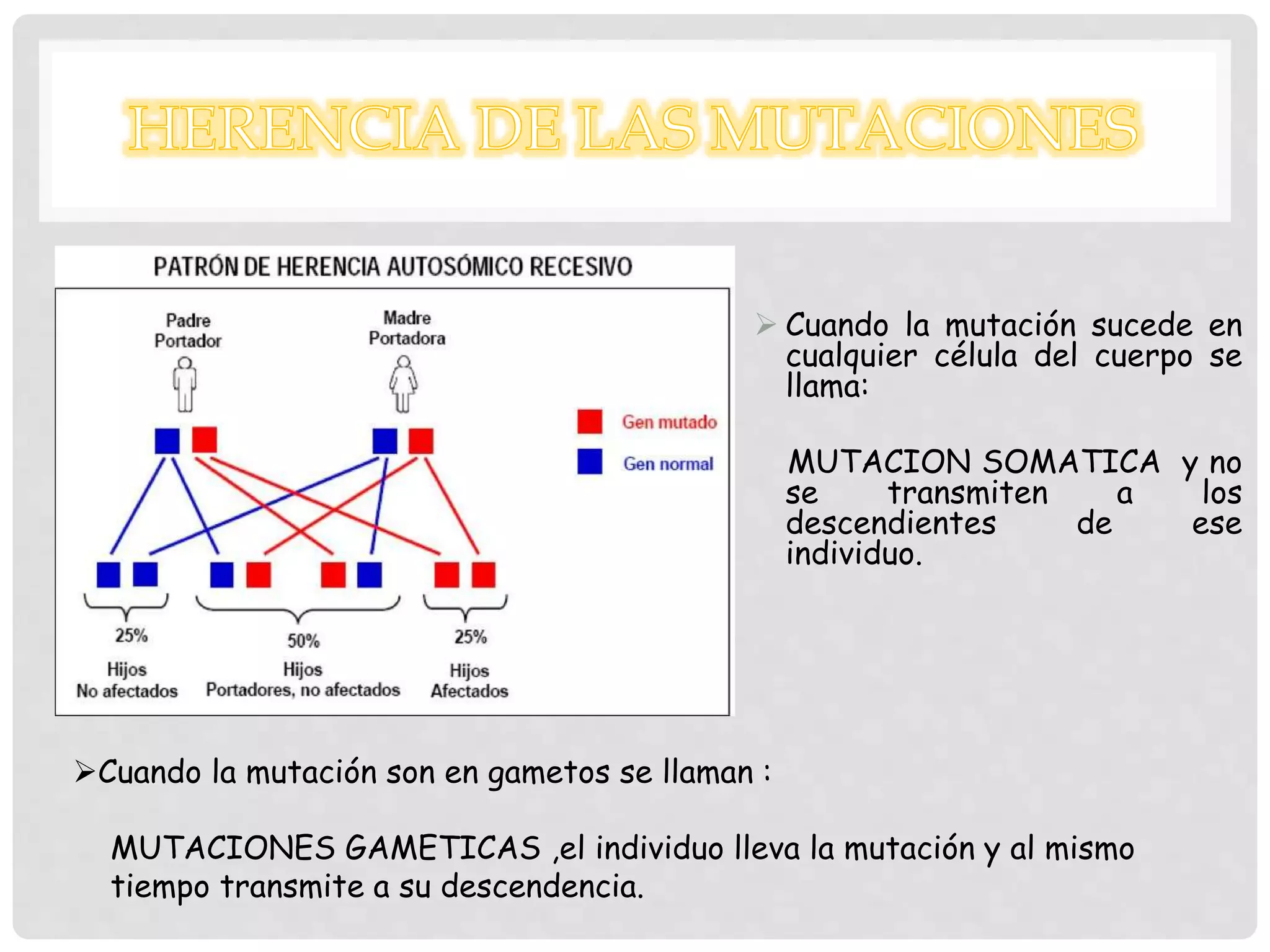 Mutacion, Sindromes y Enfermedades Geneticas en Humanos | PPTX