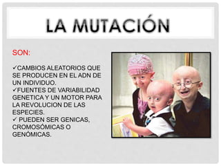 Mutacion, Sindromes y Enfermedades Geneticas en Humanos | PPTX