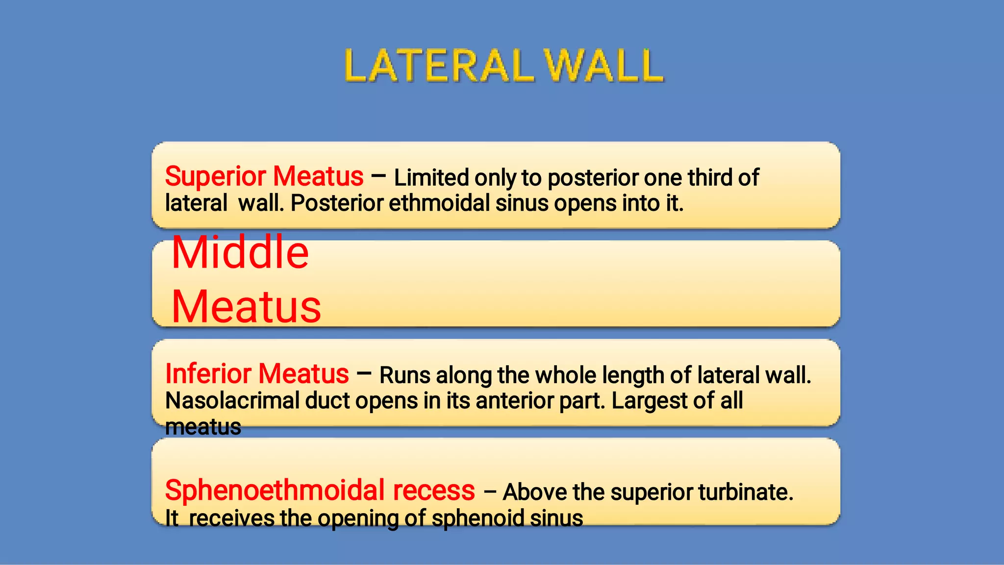 Ct anatomy of paranasal sinuses( PNS) pk.pdf ppt | PDF