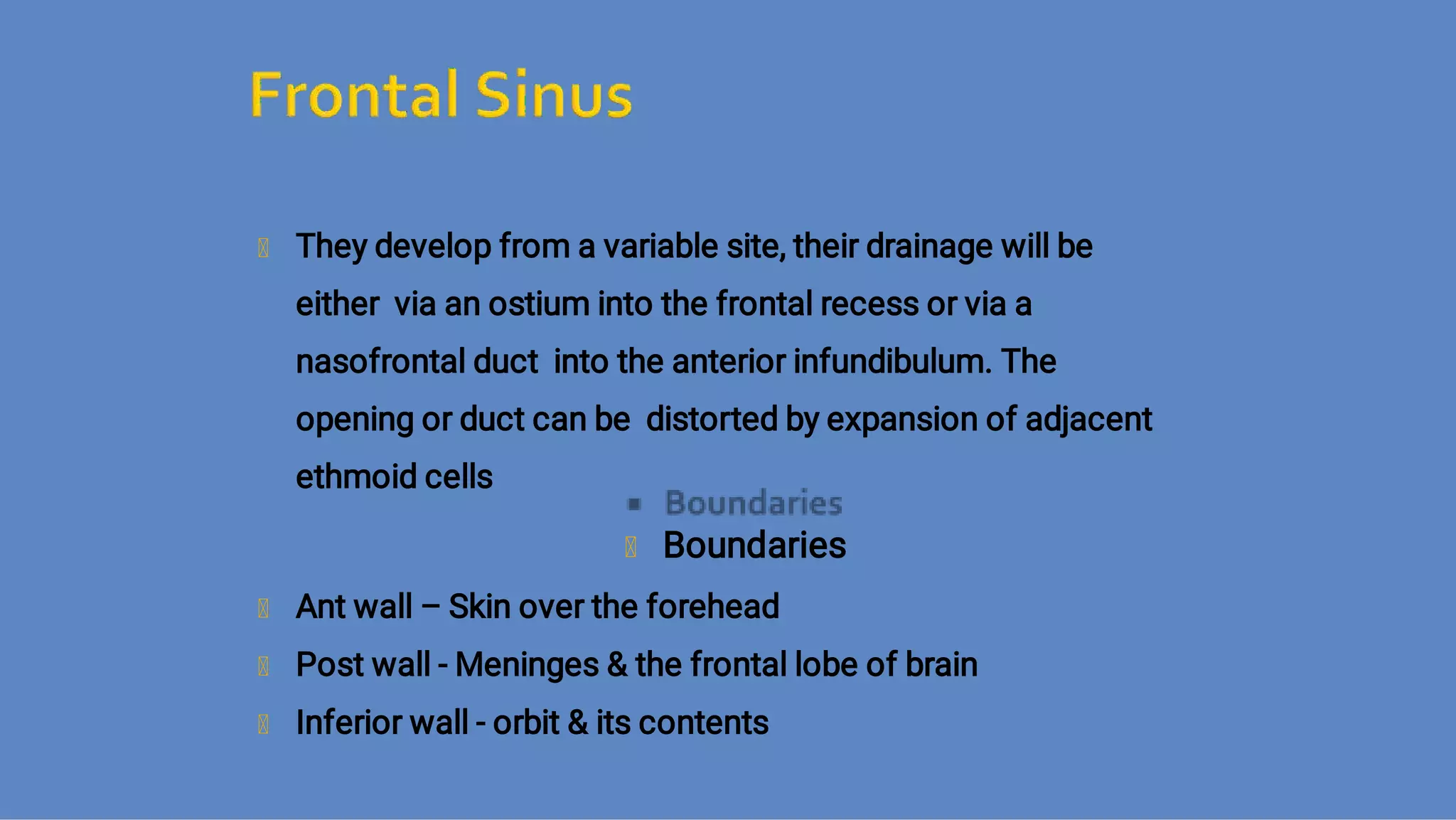 Ct anatomy of paranasal sinuses( PNS) pk.pdf ppt | PDF