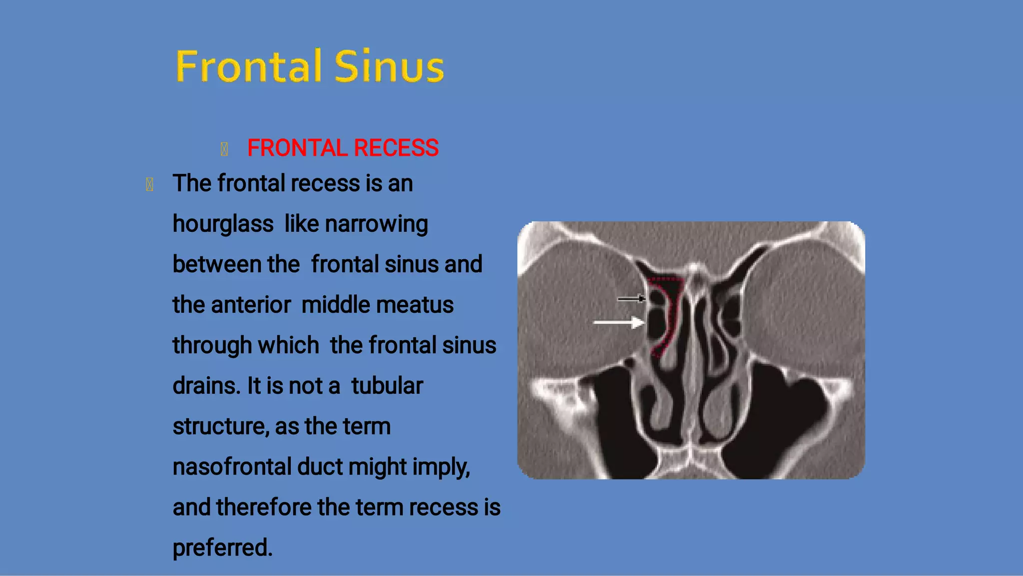 Ct anatomy of paranasal sinuses( PNS) pk.pdf ppt | PDF