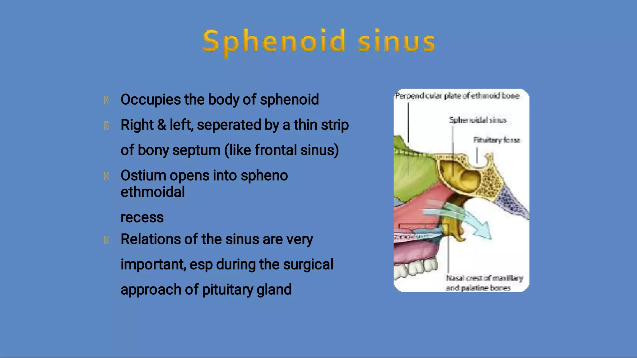 Ct anatomy of paranasal sinuses( PNS) pk.pdf ppt | PDF