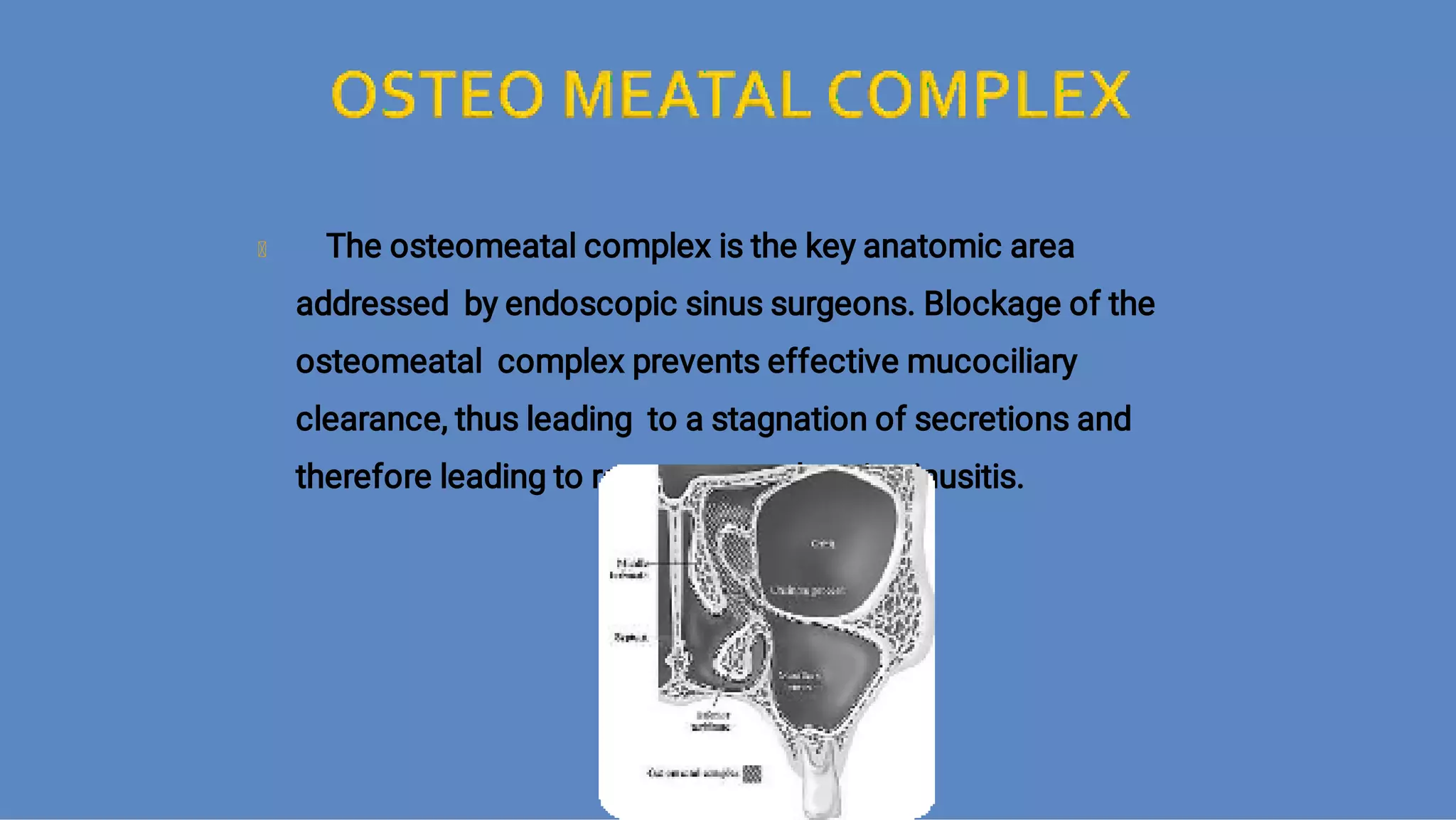 Ct anatomy of paranasal sinuses( PNS) pk.pdf ppt | PDF