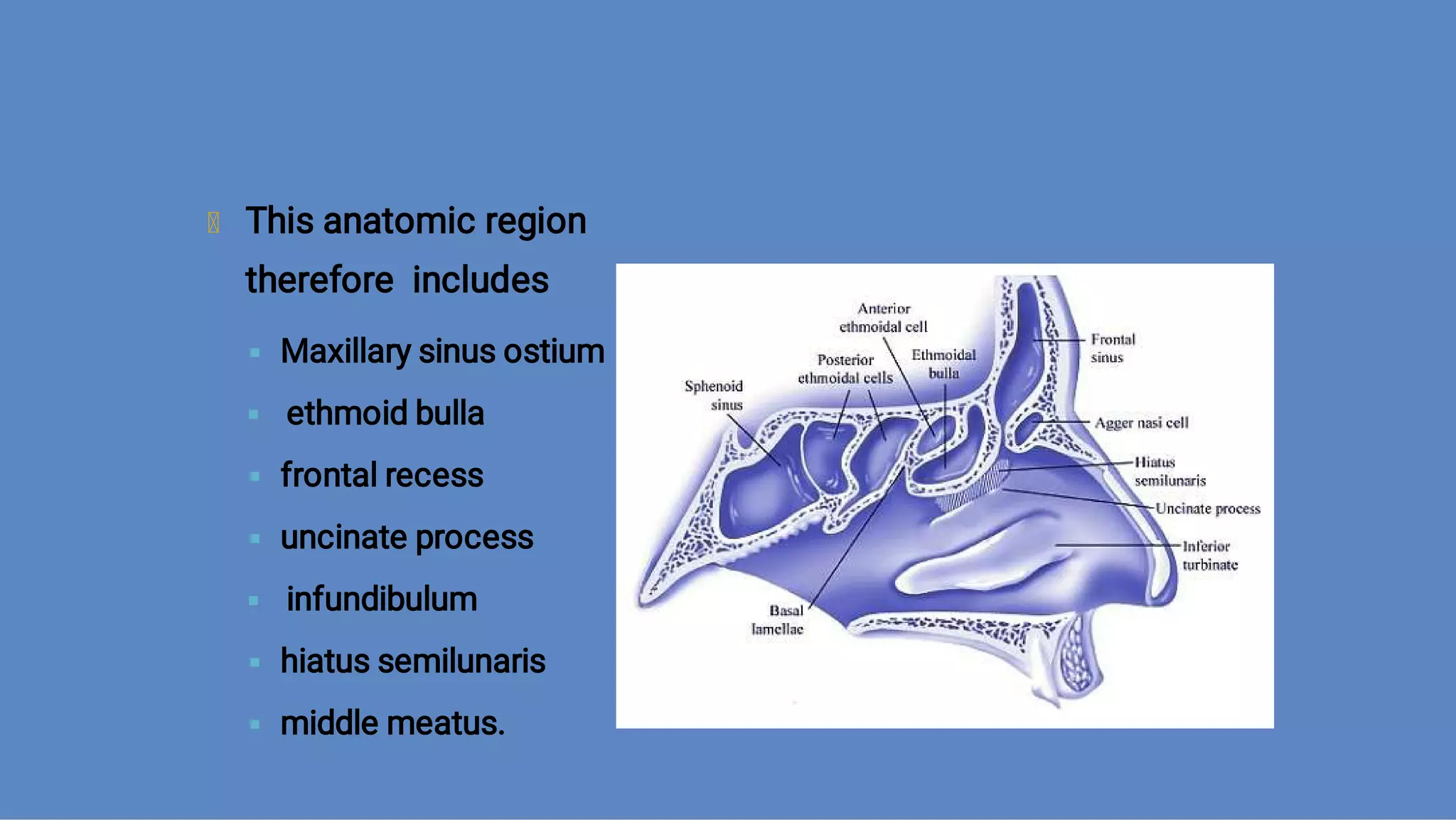 Ct anatomy of paranasal sinuses( PNS) pk.pdf ppt | PDF