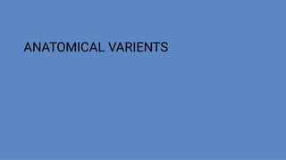 Ct anatomy of paranasal sinuses( PNS) pk.pdf ppt | PDF