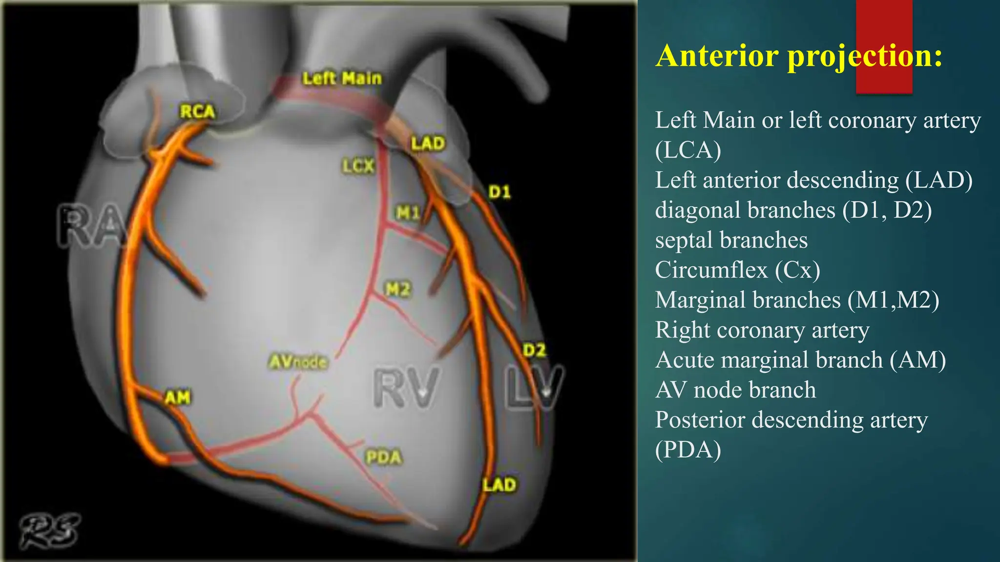 CT angiography.pptx