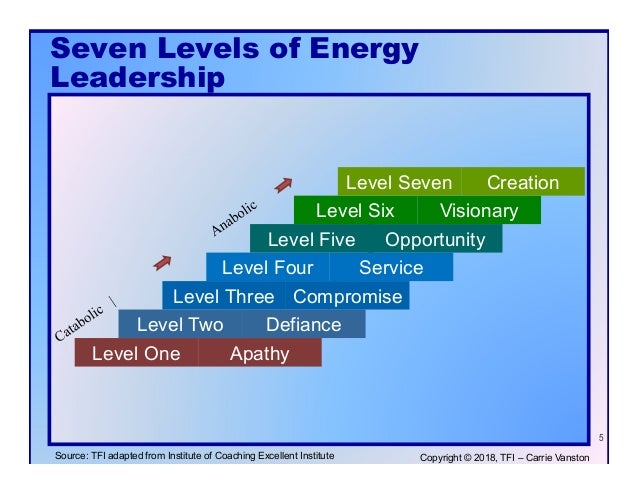 Leveling Up Your Energy Leadership by Carrie Vanston, The Energy Tran…
