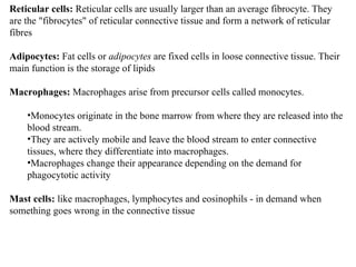 Ct, bone, cartilage | PPT