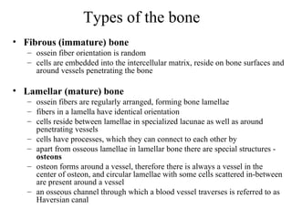 Ct, bone, cartilage | PPT