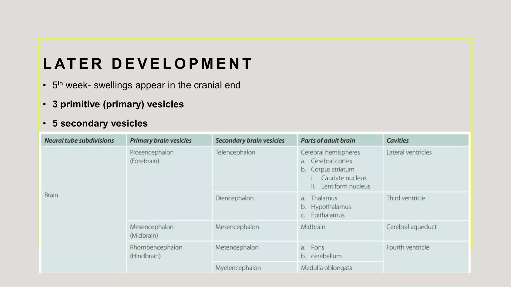 Radiological anatomy of brain.pptx