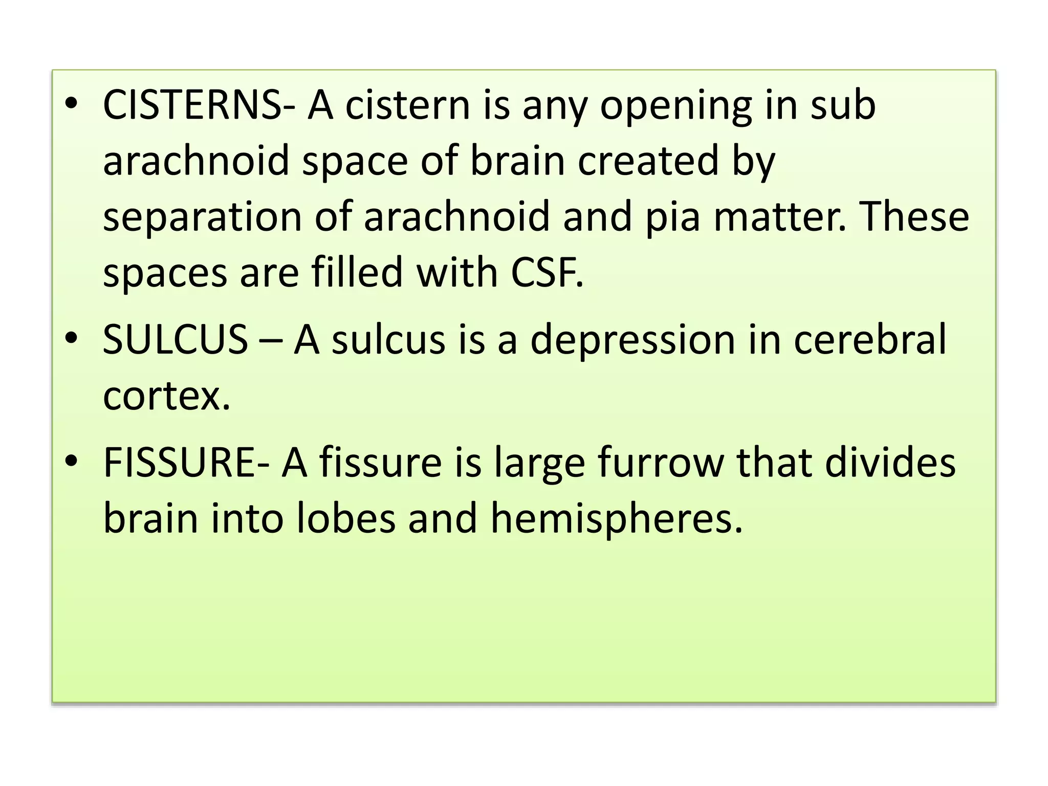 CT BRAIN ANATOMY.pptx