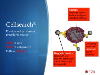 CTC Methods in comparison | PDF | Genetics | Science