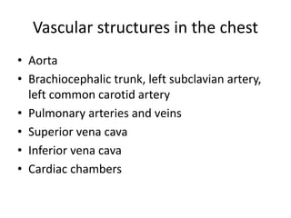 Ct chest anatomy | PPTX