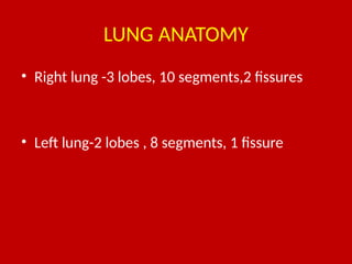 Basic interpretation of CT chest- identification of lobes and segments ...