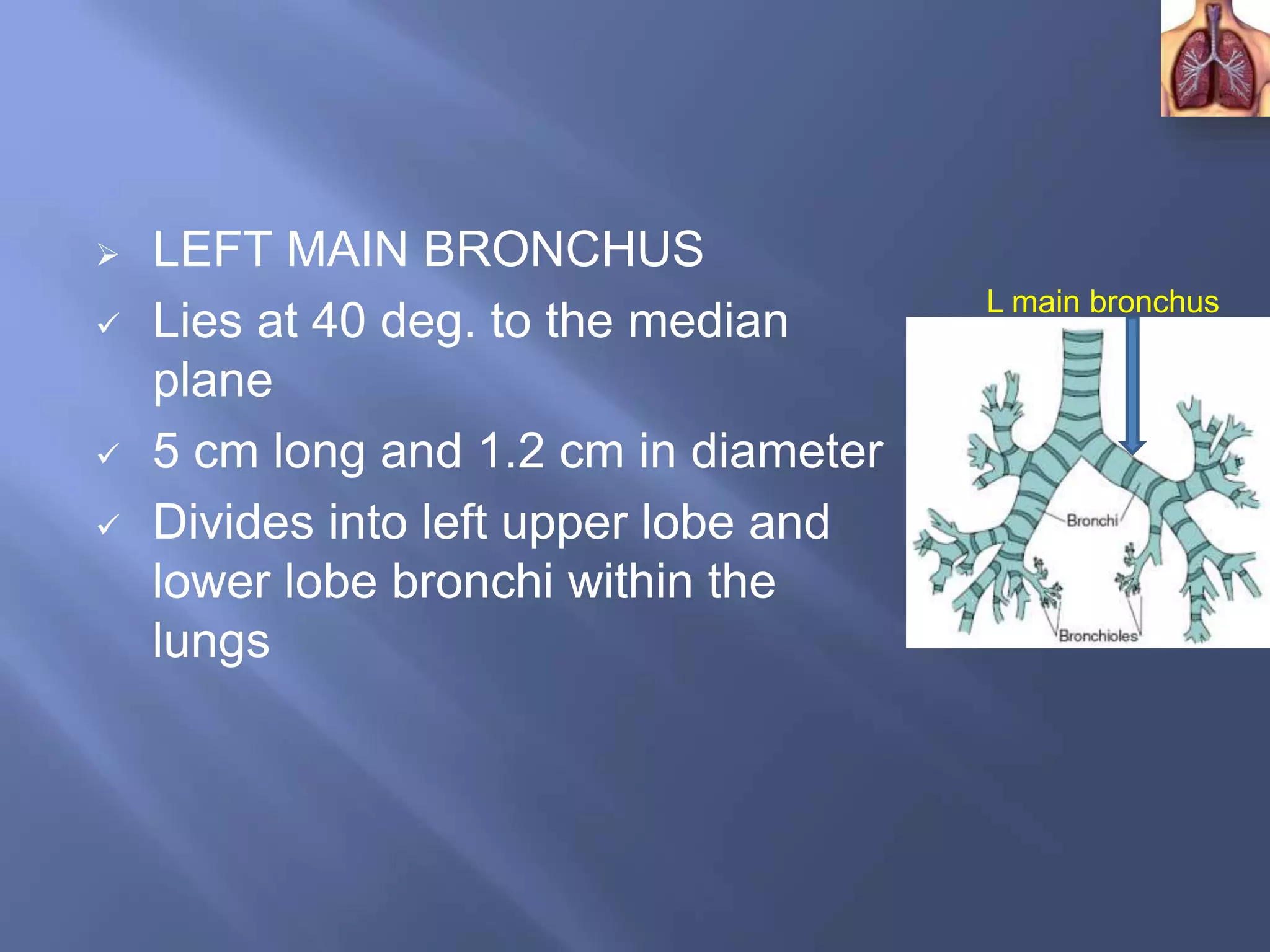 CT Procedure of Thorax (CT Chest) | PPTX