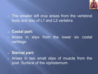 CT Procedure of Thorax (CT Chest) | PPTX