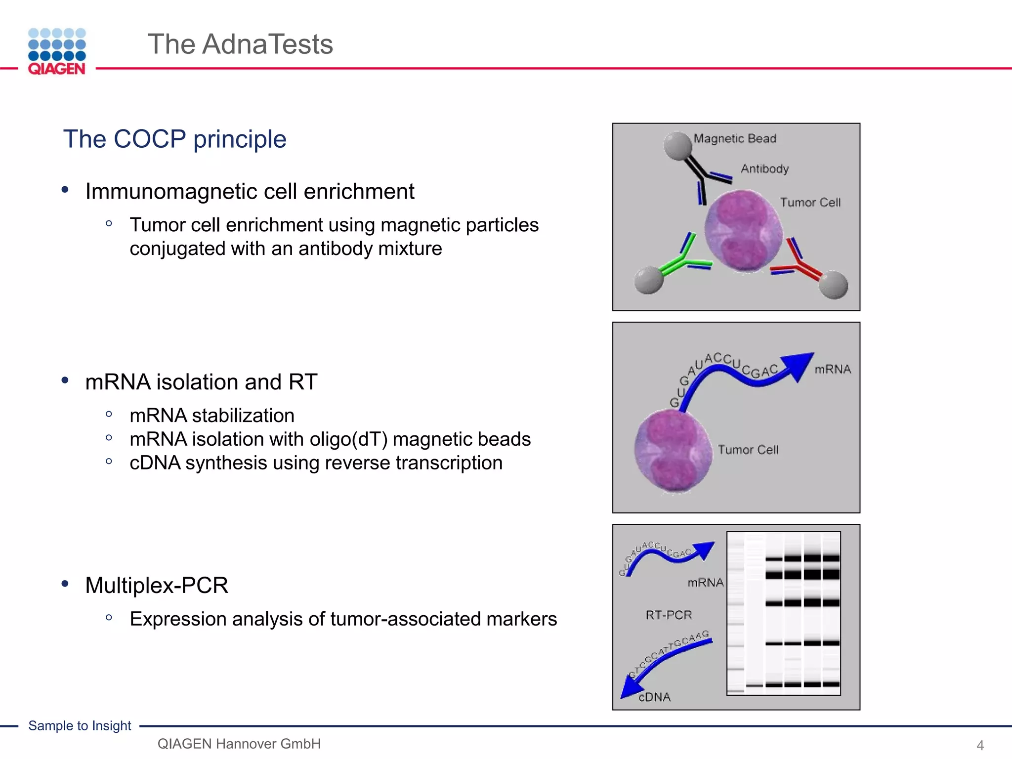 The Molecular Analysis On Circulating Tumor Cells To Determine Prognostic And Predictive Factors