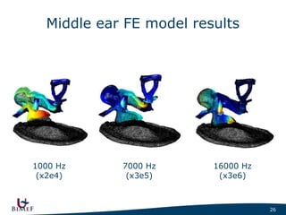 Study of middle ear mechanics at the Lab of Biomedical Physics: an ...