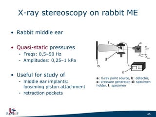 Study of middle ear mechanics at the Lab of Biomedical Physics: an ...