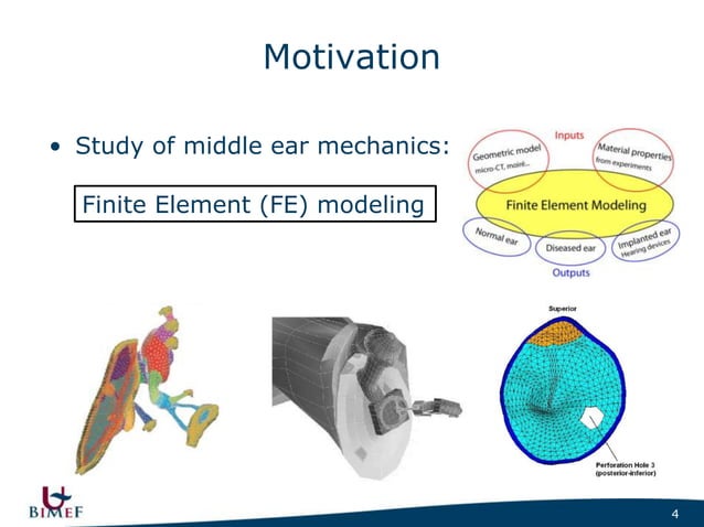 Study of middle ear mechanics at the Lab of Biomedical Physics: an ...