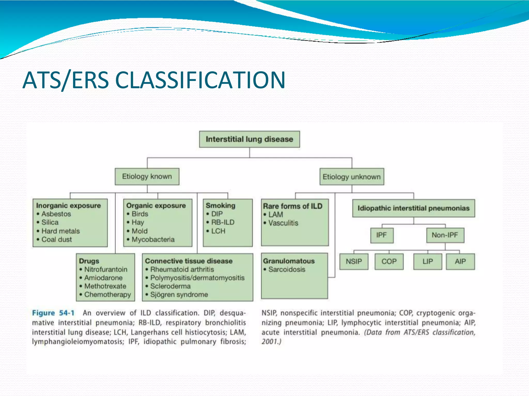 CTD-ILD.pptx | Skin and Dermatology | Diseases and Conditions