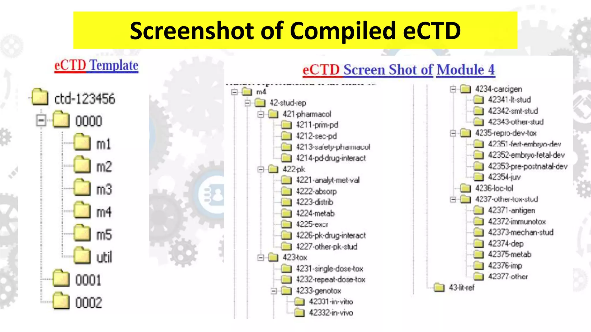 CTD and eCTD - Common Technical Document | PPTX