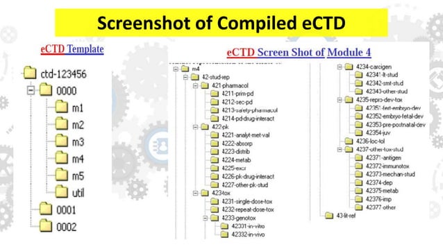 CTD and eCTD - Common Technical Document | PPT