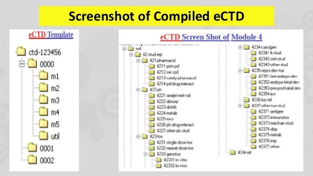 CTD and eCTD - Common Technical Document
