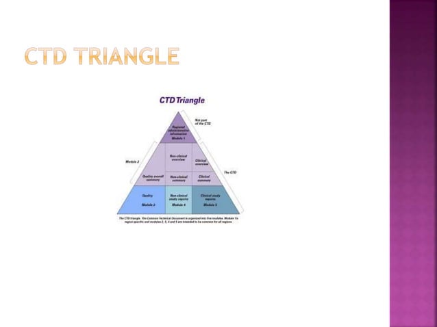 Common technical document | PPT