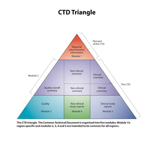 Ctd triangle