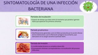 Fases sucesivas de una infección y sintomatología de una infección ...