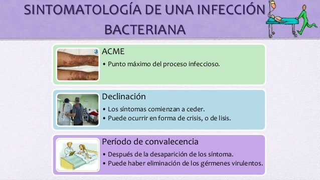 Fases sucesivas de una infección y sintomatología de una infección ba…