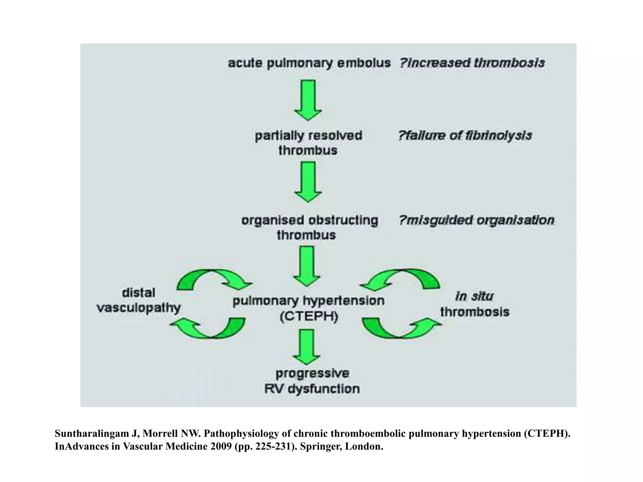 Chronic thromboembolic pulmonary hypertension (CTEPH) | PPTX