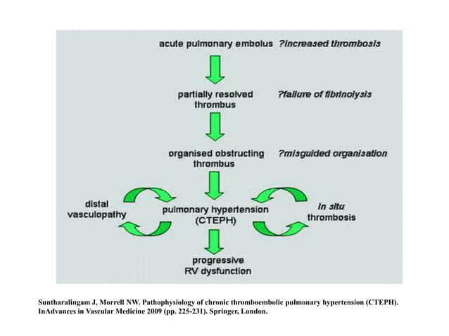 Chronic thromboembolic pulmonary hypertension (CTEPH) | PPTX | Heart ...