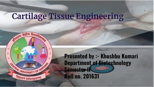 CTE ppt on CARTILAGE TISSUE ENGINEERING.pdf | Bone and Joint Conditions | Diseases and Conditions