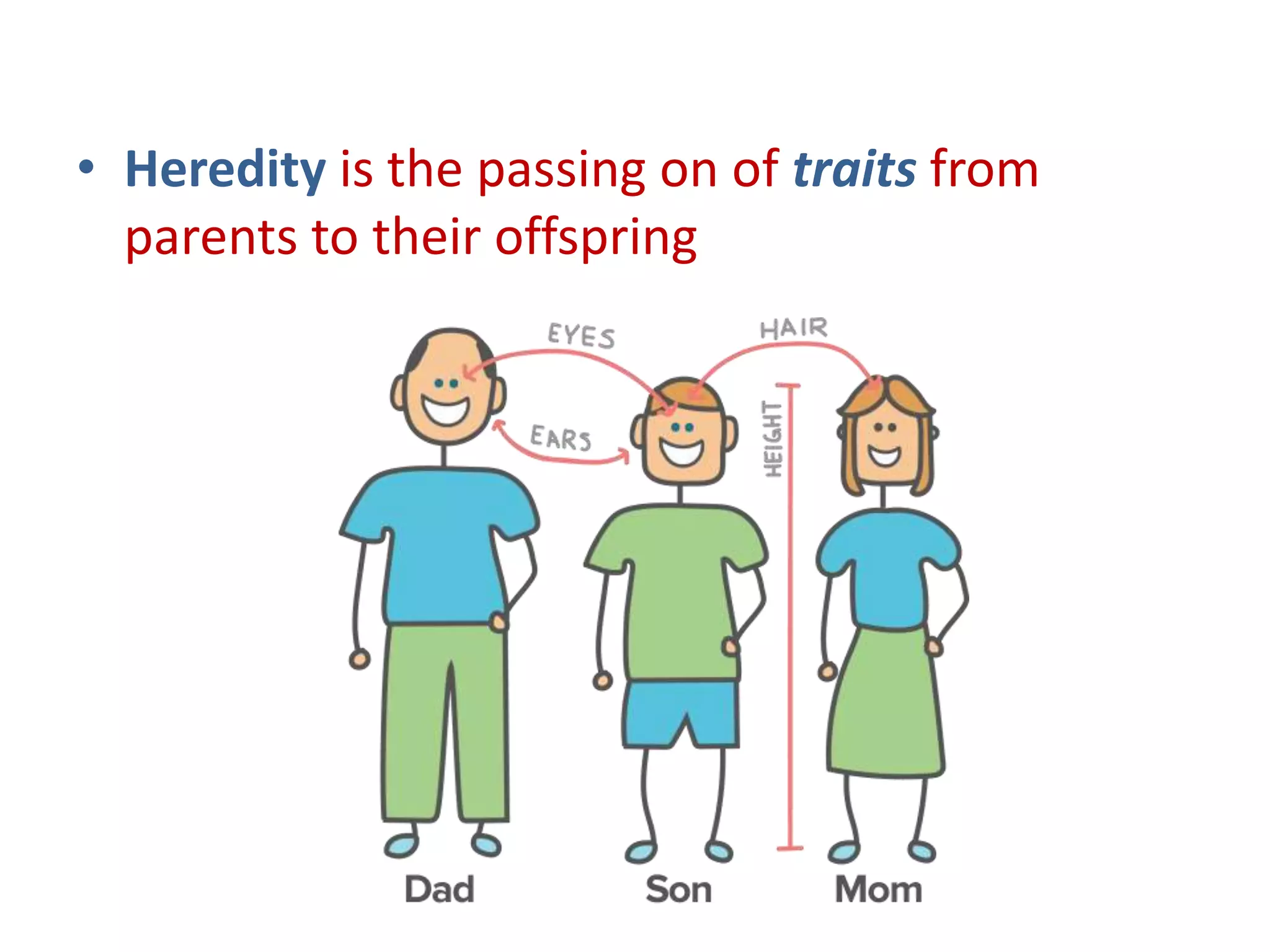 Ctet "Influence of heredity and environment" | PPTX