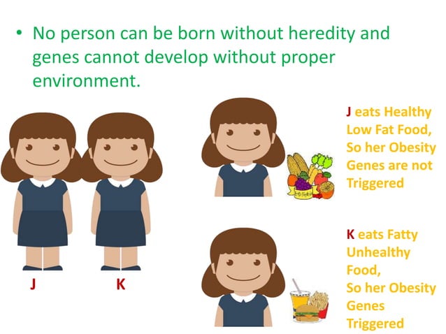 Ctet "Influence of heredity and environment" | PPTX