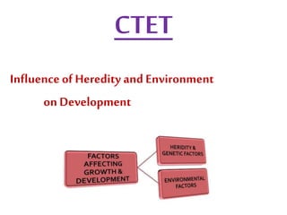 Heredity And Environment In Child Development