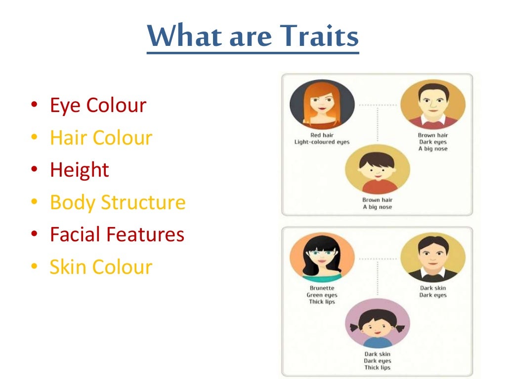 Ctet "Influence of heredity and environment"