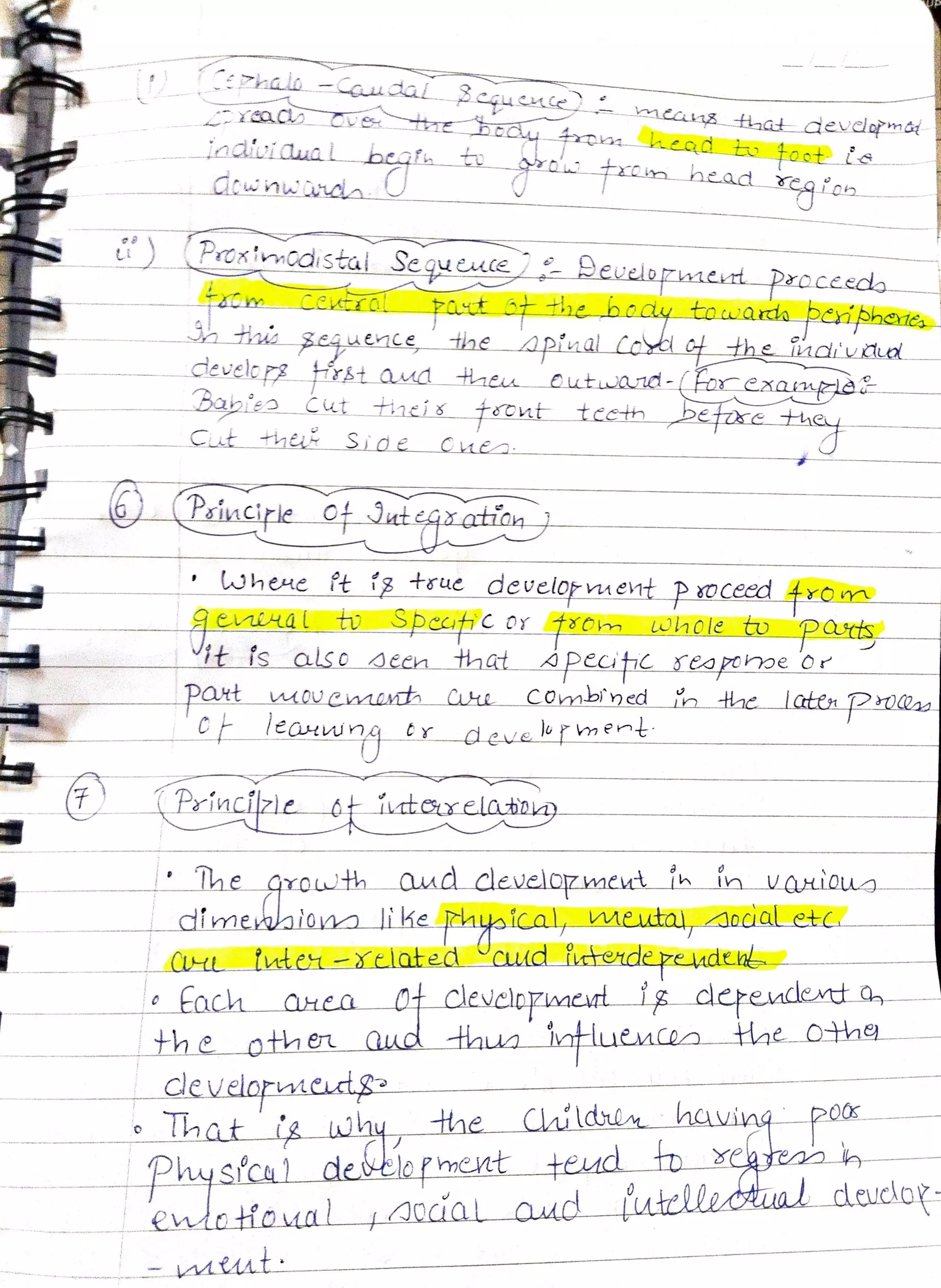 CTET Notes PRINCIPLE OF THE DEVELOPMENT OF CHILDREN(child development ...