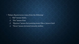 CONGENITAL TALIPES EQUINO VARUS (CTEV) | PPT