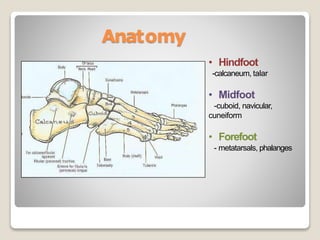 Congenital Talipes Equino Varus | PPTX