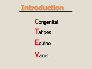 Congenital Talipes Equino Varus | PPTX
