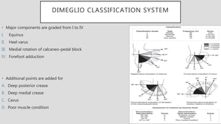 Ctev assessment & ponseti technique | PPTX