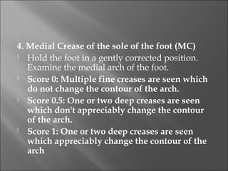 CTEV Pathoanatomy, Diagnosis, Conservative and Surgical Mx. | PPT
