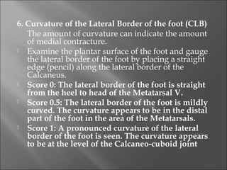 CTEV Pathoanatomy, Diagnosis, Conservative and Surgical Mx. | PPT