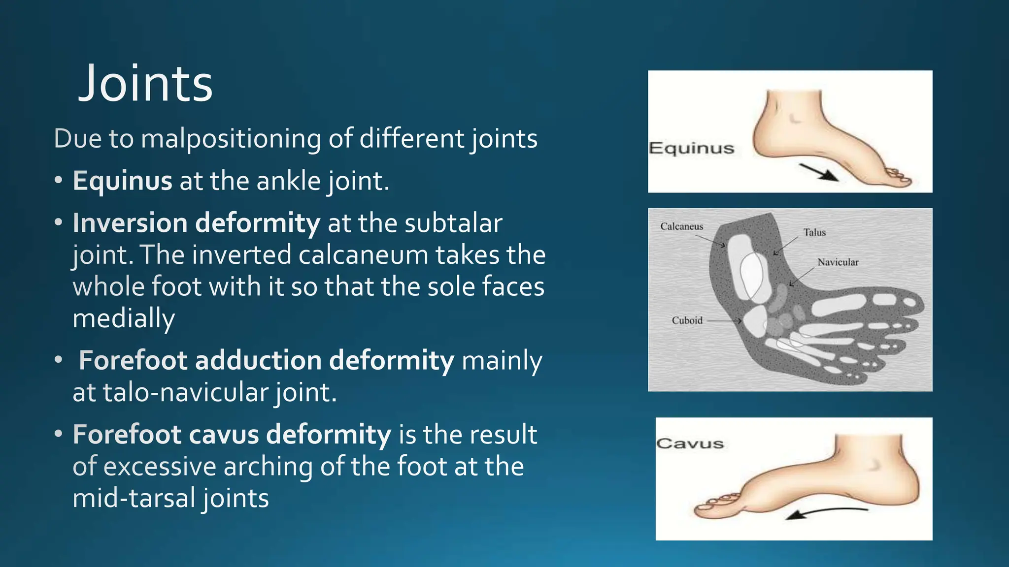 CTEV PATHOANATOMY.pptx