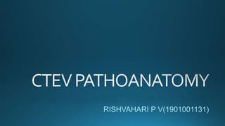 CTEV PATHOANATOMY.pptx