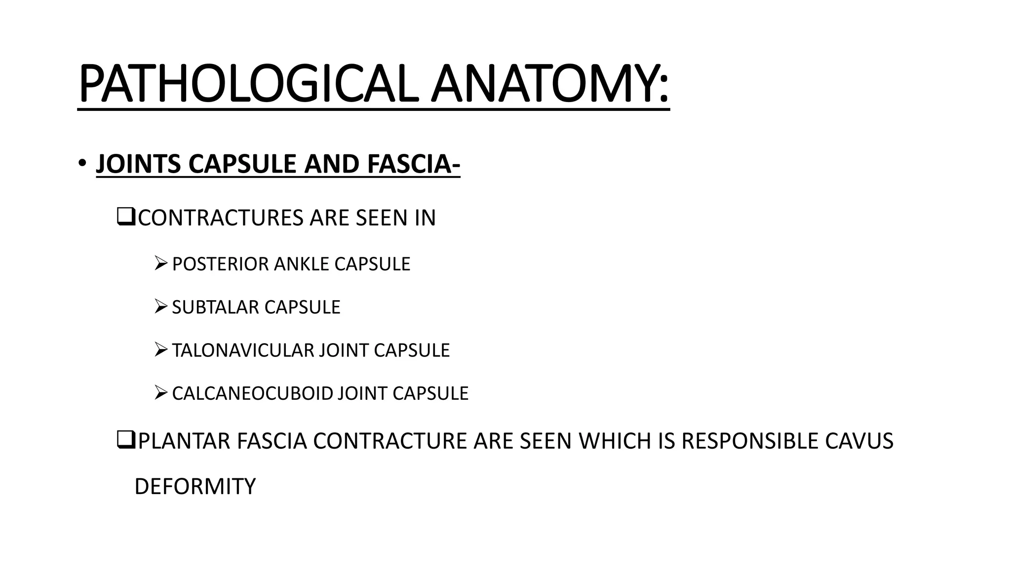 Congenital talipes equinovarus (club foot/ctev) ppt by Dr Pratik | PPTX